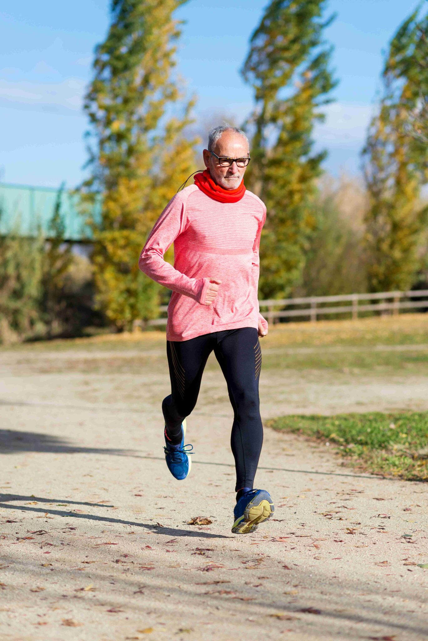 Ed Whitlock — The Oldest Marathon Runner